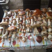 Rupi405 - Profile - GameDesire